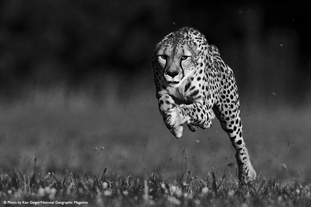 African Robotics Unit – UCT African Robotics Unit